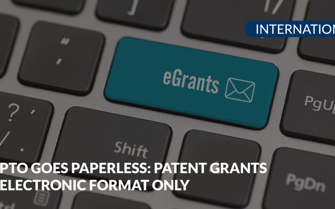 USPTO goes paperless - OlarteMoure | Intellectual Property