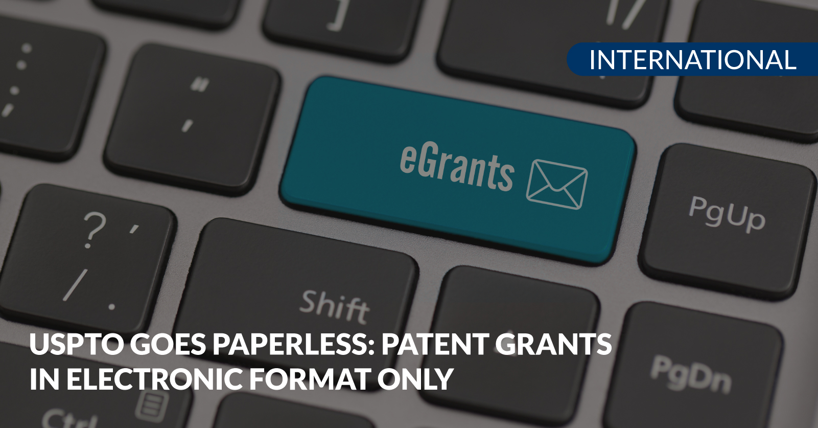 USPTO goes paperless - OlarteMoure | Intellectual Property