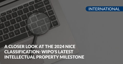 12th edition of the Nice Classification - OlarteMoure