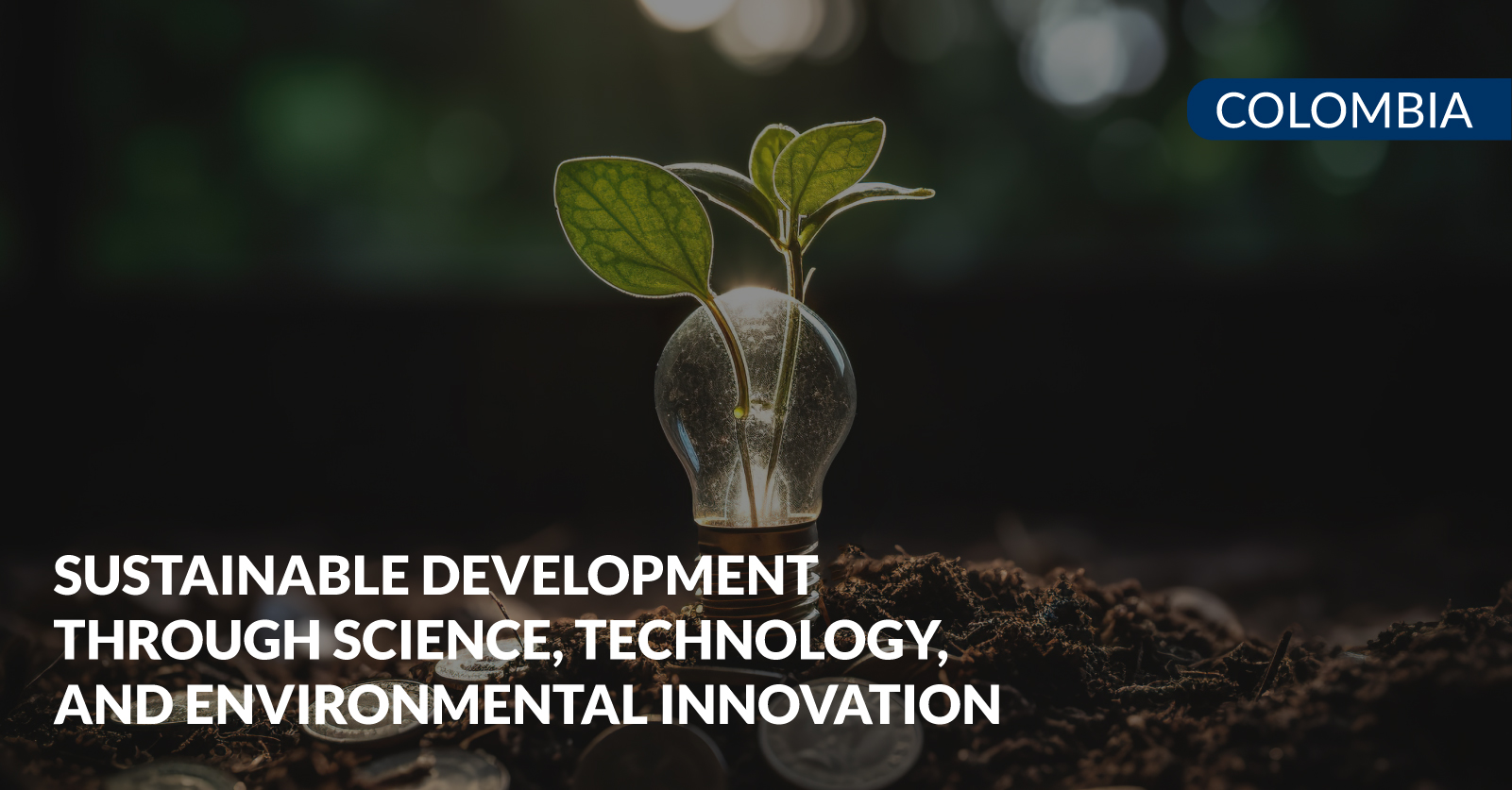 Open call for sustainable development - OlarteMoure | Intellectual Property